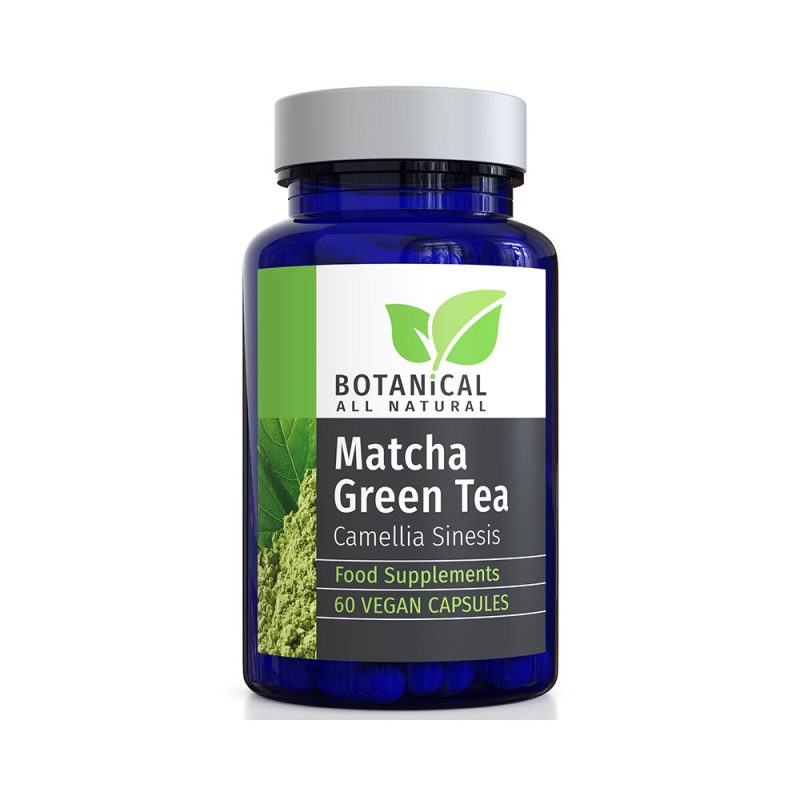 Matcha Green Tea Powder Camellia Sinensis - Botanical All Natural