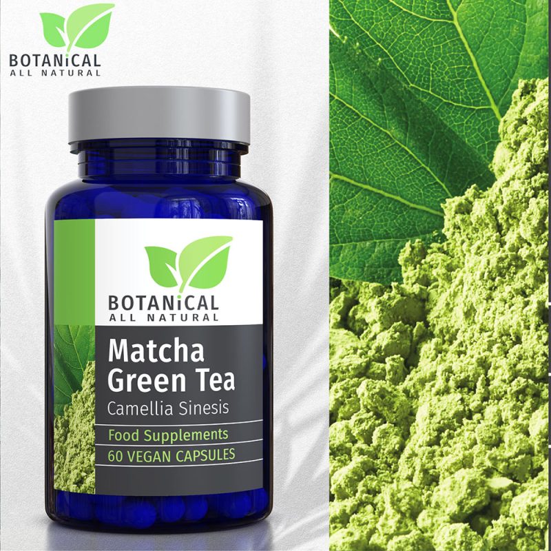 Matcha Green Tea Powder Camellia Sinensis - Botanical All Natural