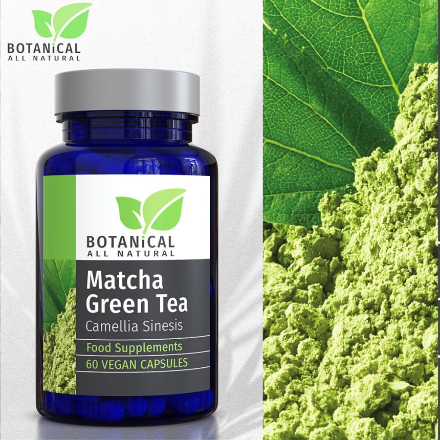 Matcha Green Tea Powder Camellia Sinensis - Botanical All Natural