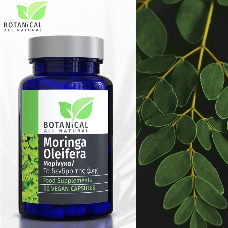 Moringa Oleifera / The tree of Life - Botanical All Natural